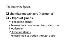 The Endocrine, Nervous and Reproductive System.pptx