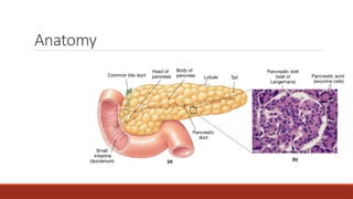 The physiology of the endocrine pancreas.pptx
