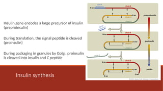 The physiology of the endocrine pancreas.pptx