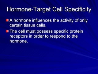 The Endocrine System | PPT | Hormonal Disorders | Endocrine and ...
