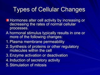 The Endocrine System | PPT