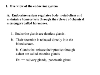 The Endocrine System | PPT