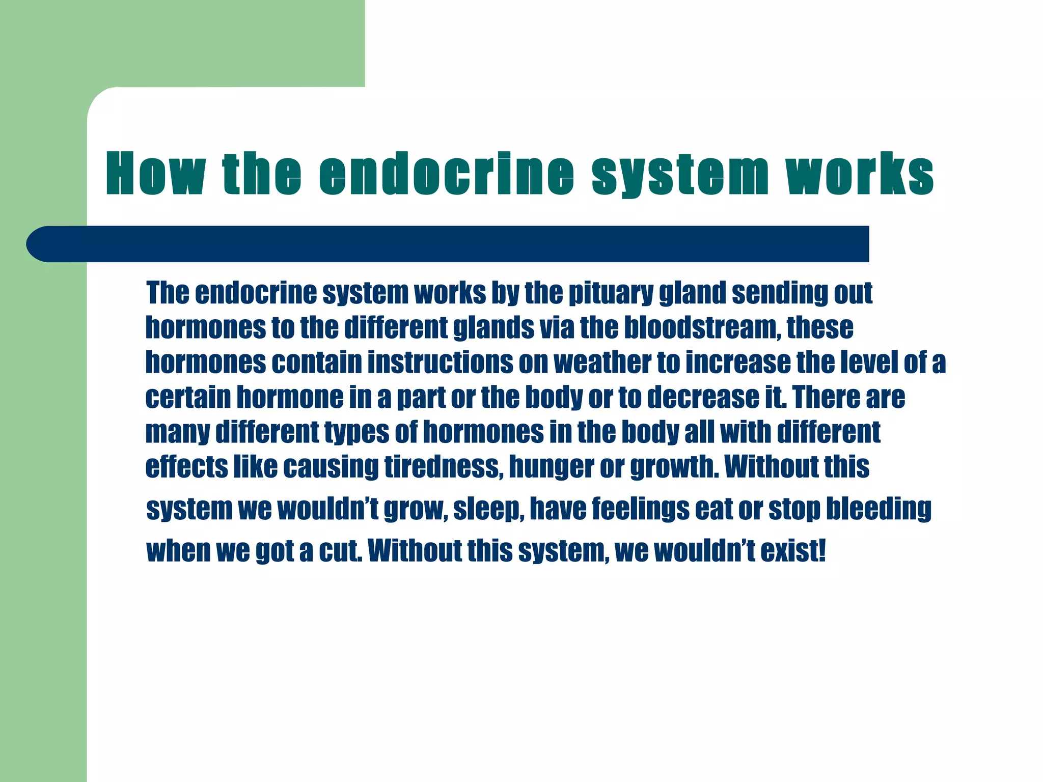 The endocrine system | PPT