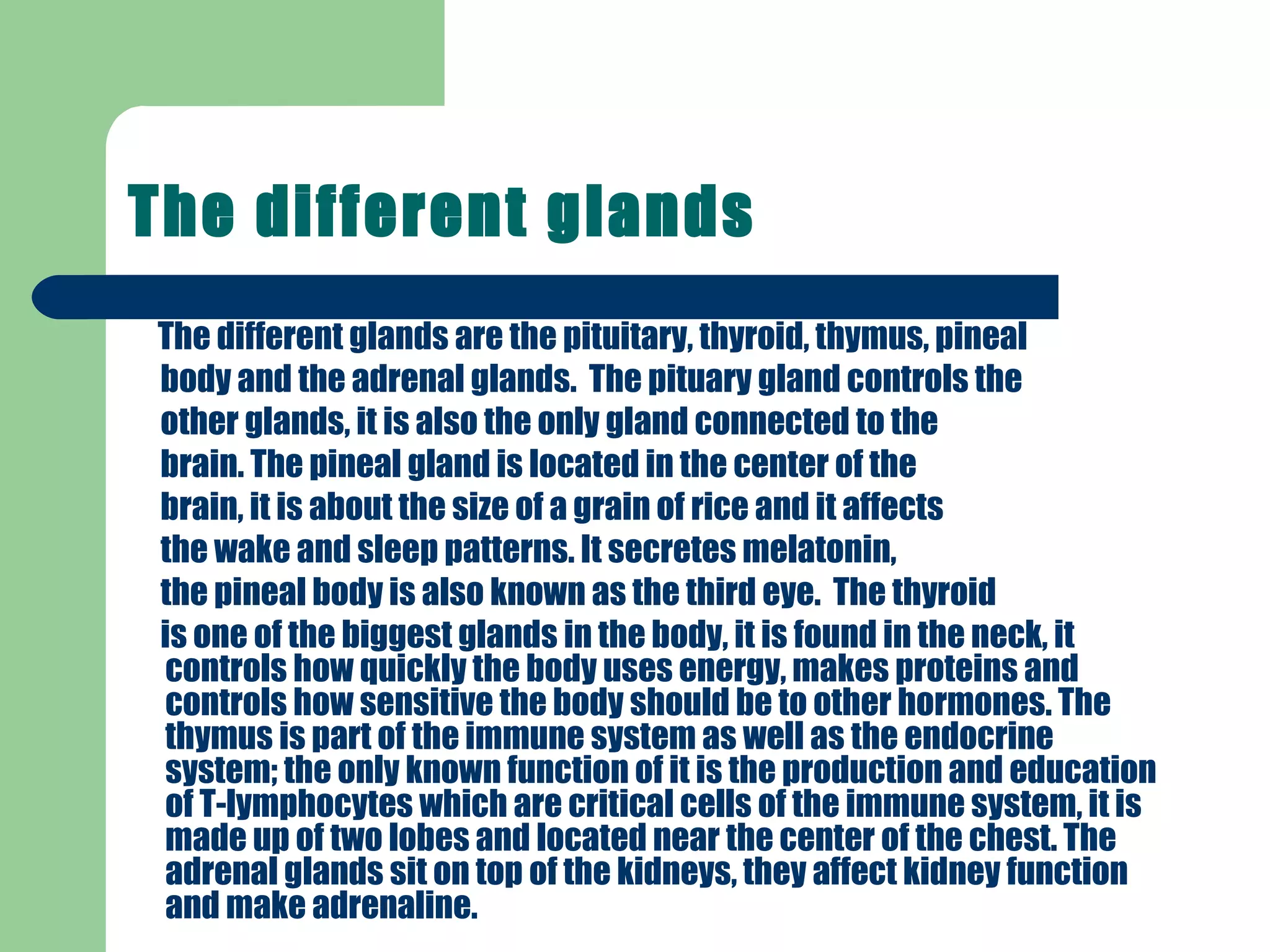 The endocrine system | PPT