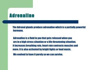 The endocrine system | PPT