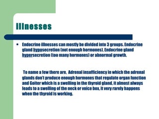 The endocrine system | PPT