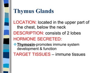 The endocrine system | PPT