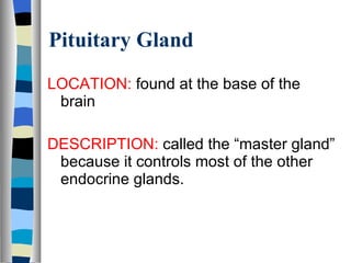 The endocrine system | PPT