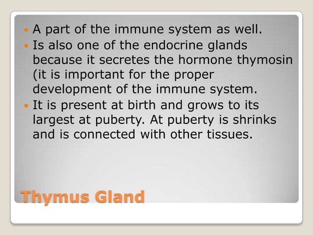 The endocrine system | PPT