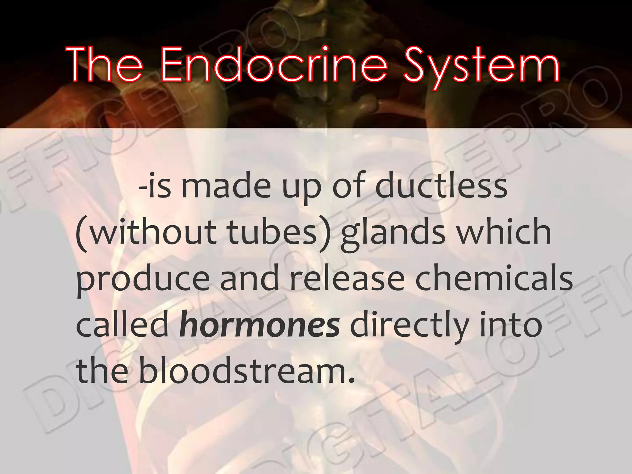 The endocrine system | PPTX | Thyroid Disorders | Endocrine and ...