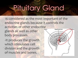 The endocrine system | PPTX | Thyroid Disorders | Endocrine and ...