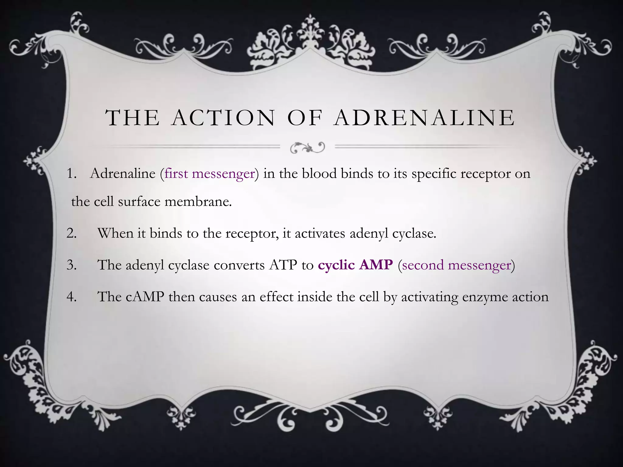The Endocrine System | PPTX