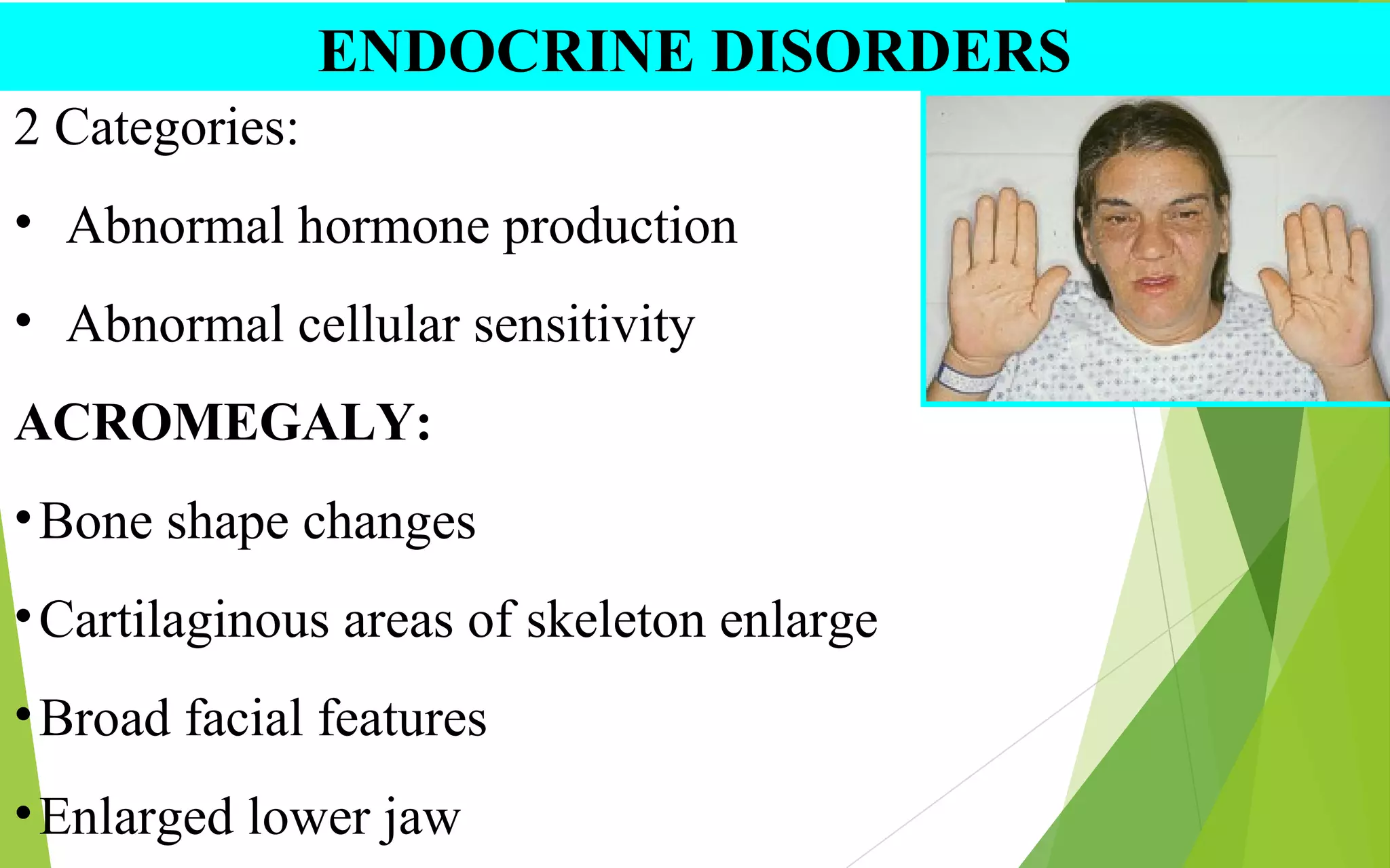 The endocrine system | PPT