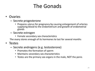 The endocrine system | PPTX