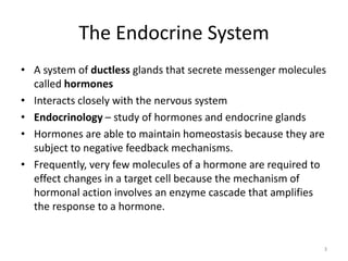 The endocrine system | PPTX