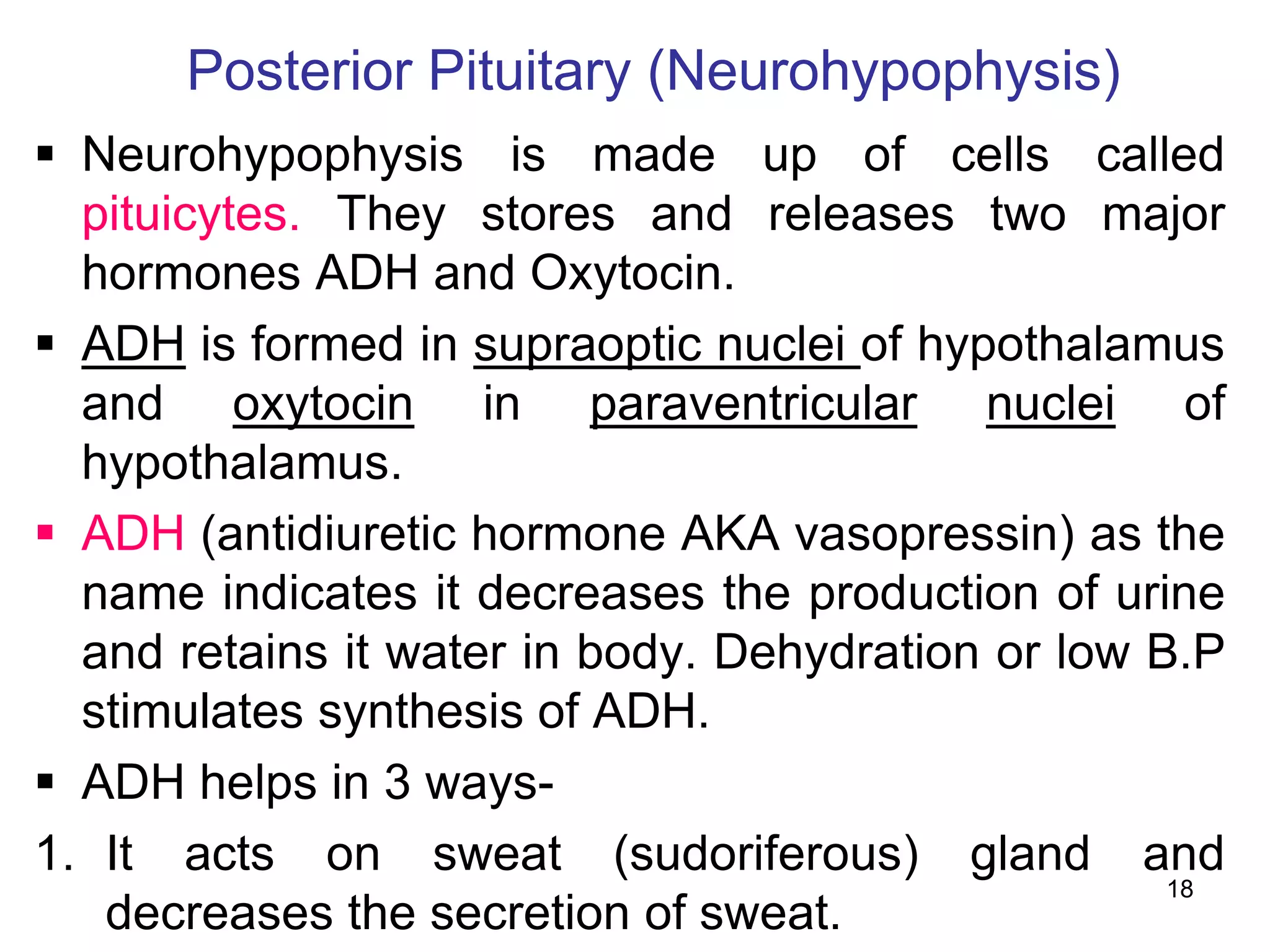 The endocrine system | PPT