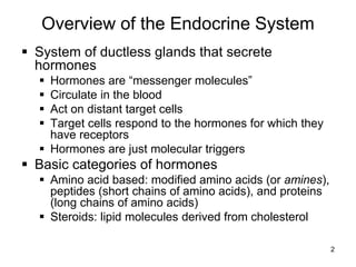 The endocrine system | PPT