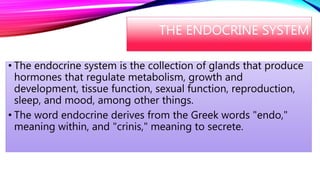 The endocrine system | PPT
