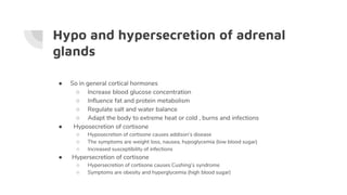 The endocrine system | PPTX