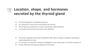 The endocrine system | PPTX