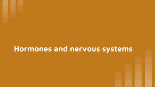 The endocrine system | PPTX
