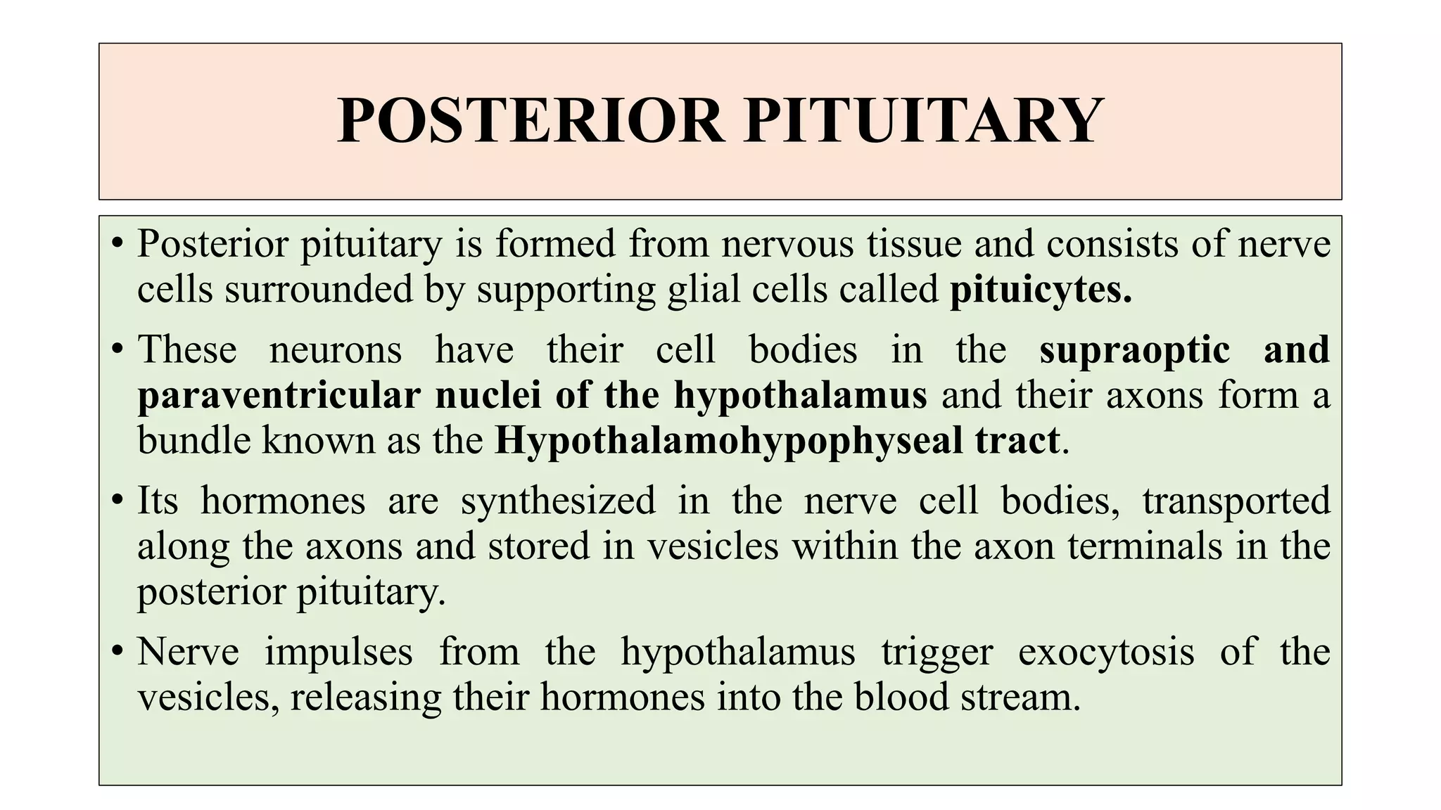 The endocrine system | PPTX