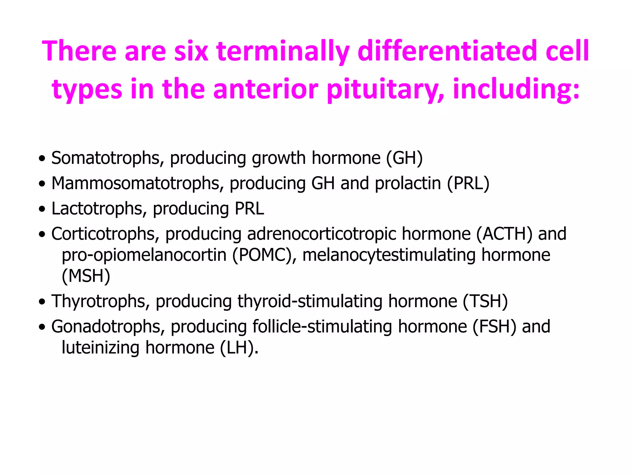 The Endocrine System Pathology | PPTX