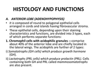 The Endocrine System Pathology | PPT