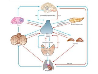 PITUITARY GLAND PATHOLOGY | PPTX
