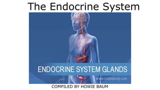 The Endocrine System.pptx