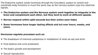 The Endocrine System.pptx