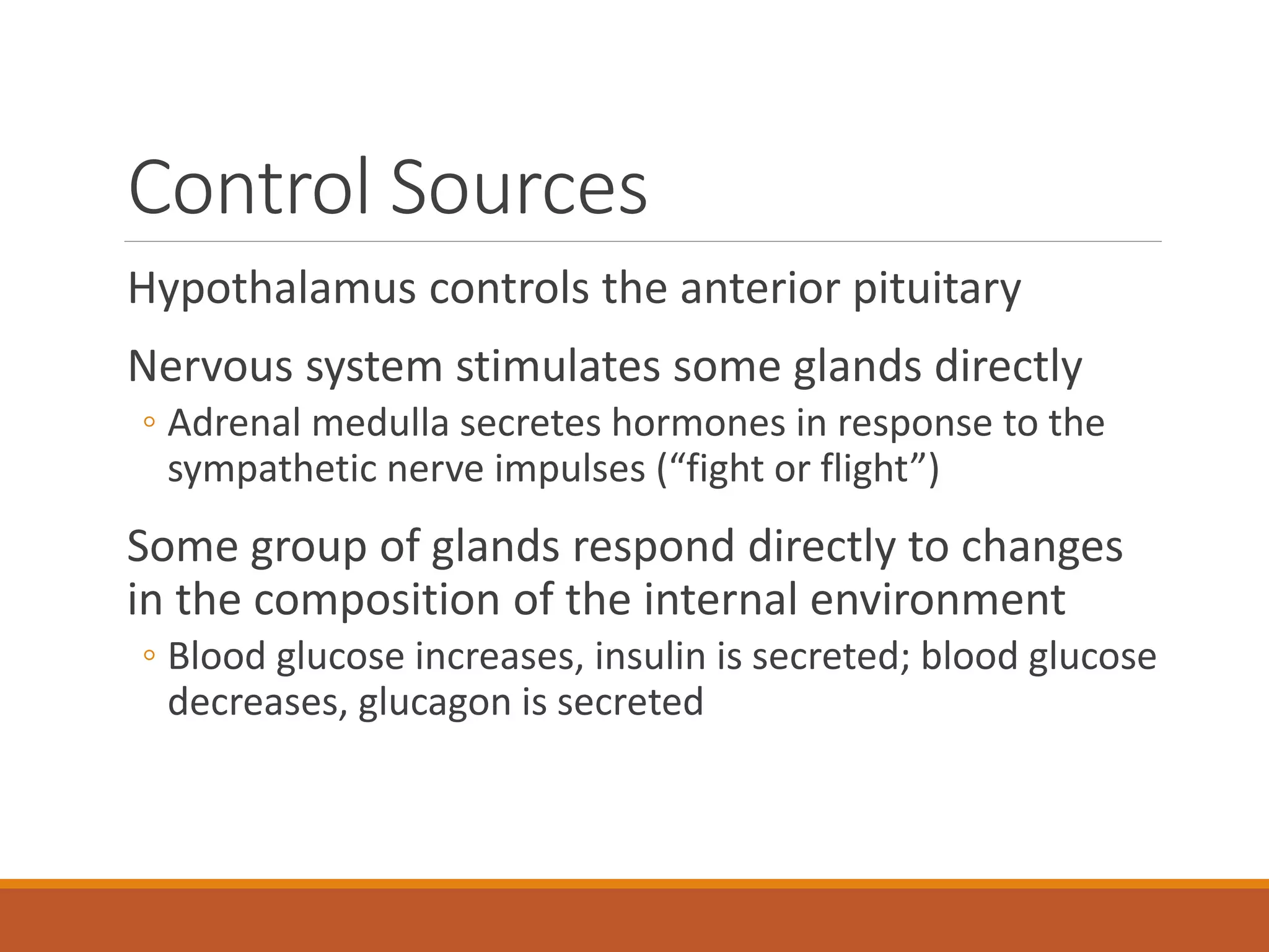 The Endocrine System.ppt