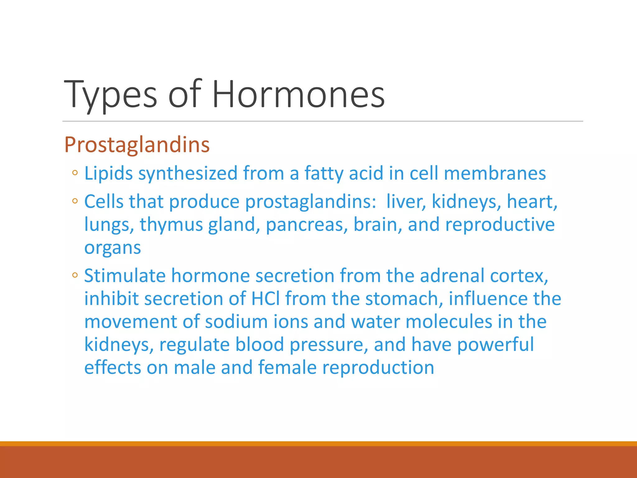 The Endocrine System.ppt