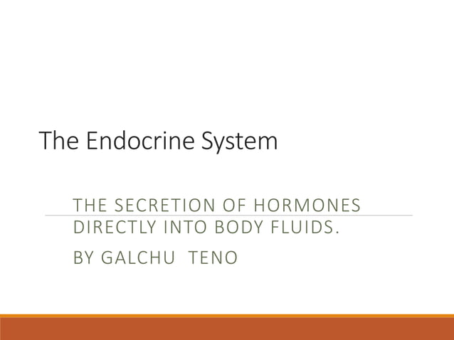 The Endocrine System.ppt
