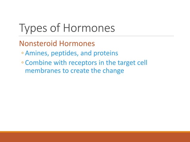 The Endocrine System.ppt