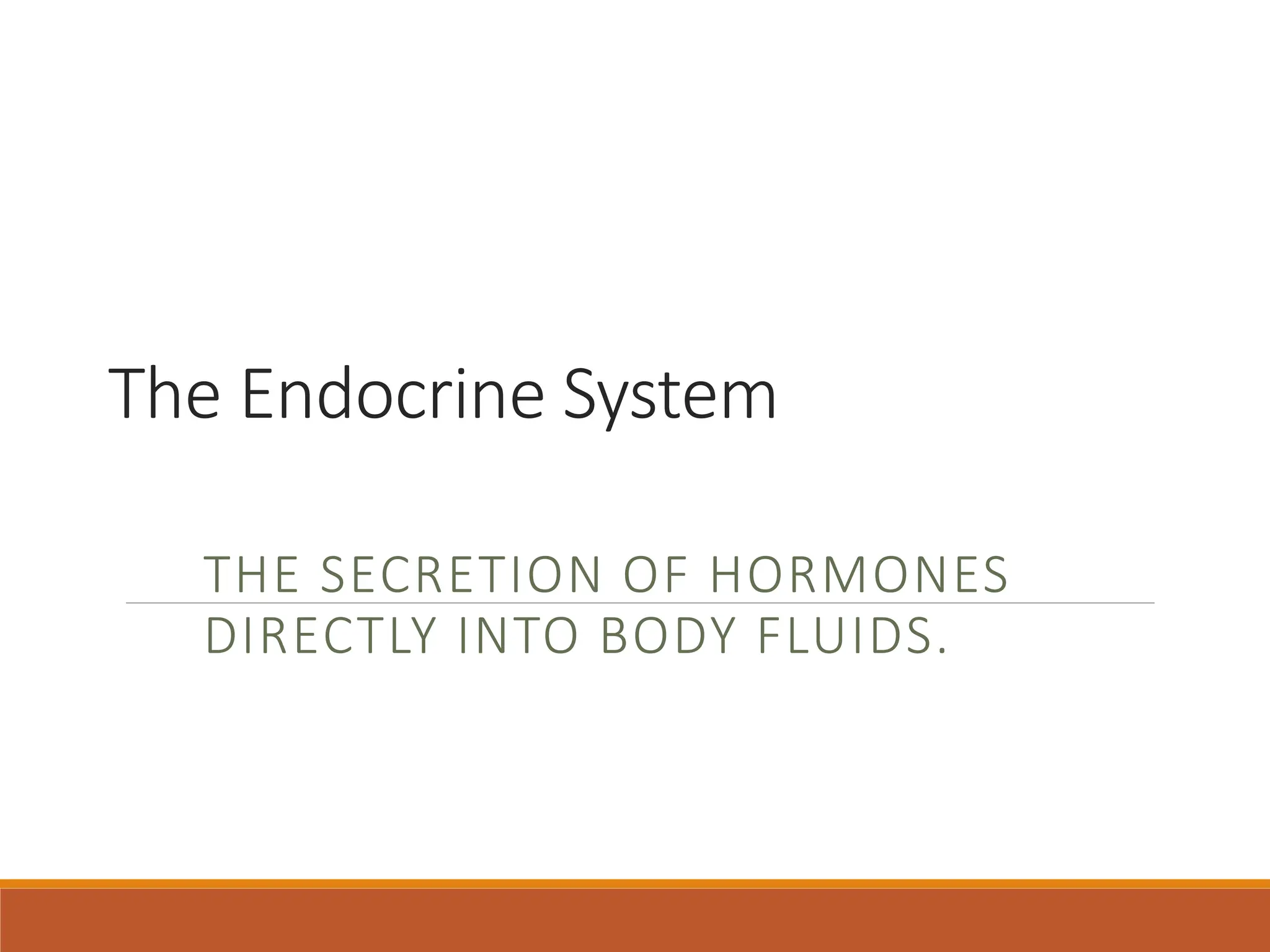 The Endocrine System.ppt