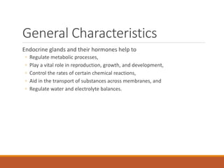 The Endocrine System.ppt