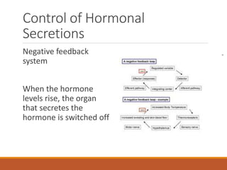 The Endocrine System.ppt