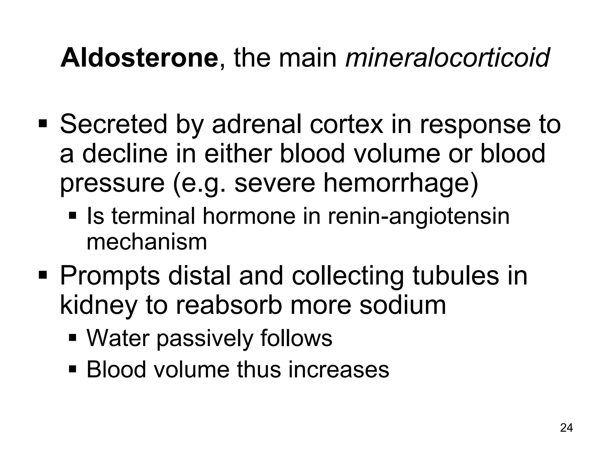 - The Endocrine System.ppt