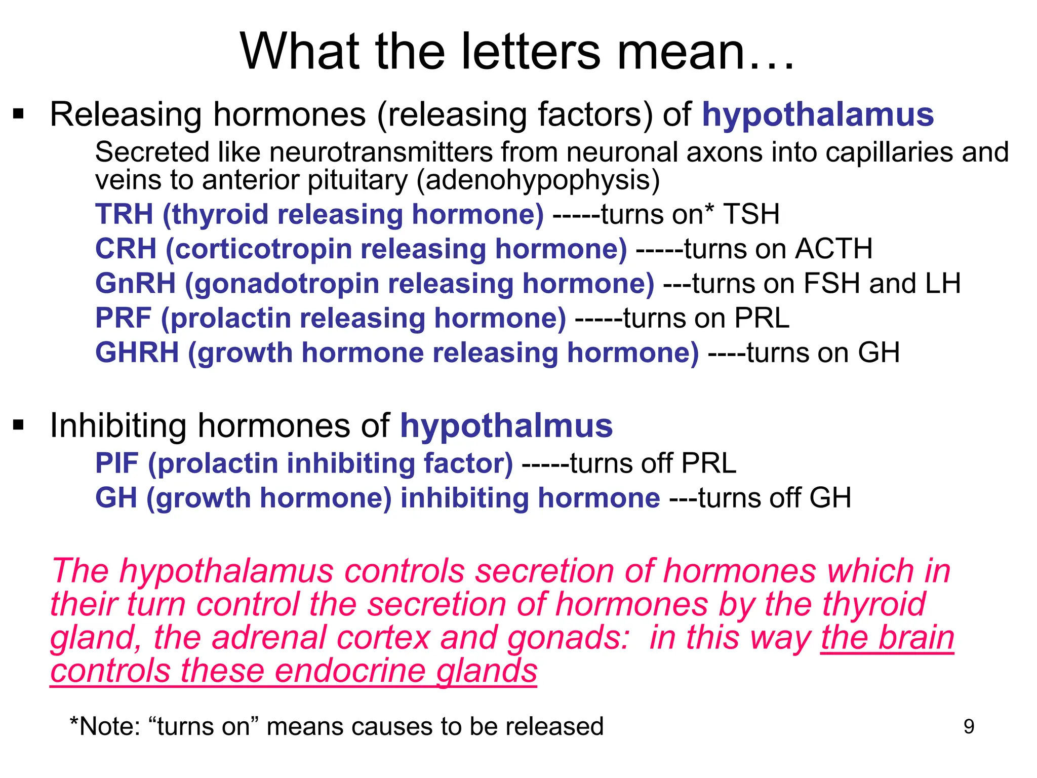 - The Endocrine System.ppt