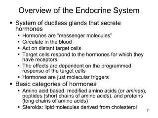 - The Endocrine System.ppt