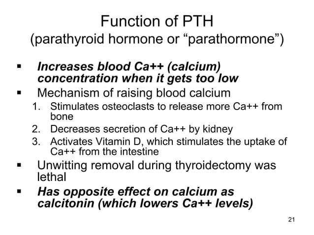 - The Endocrine System.ppt