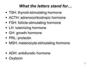 - The Endocrine System.ppt