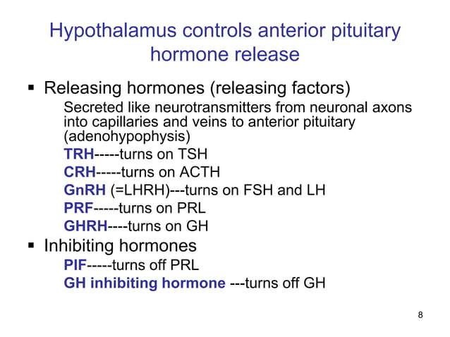 - The Endocrine System.ppt