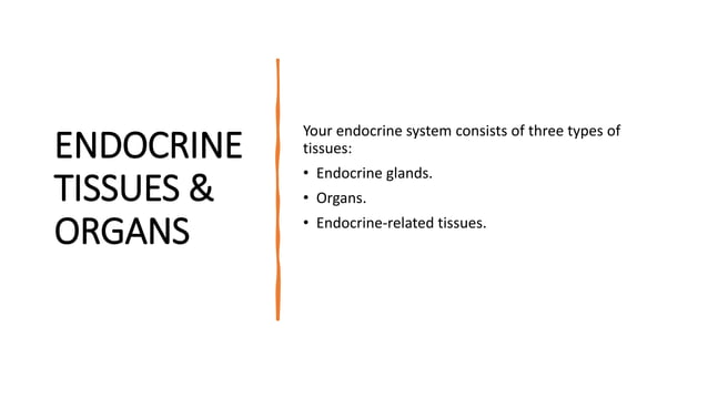 BASIC INTRODUCTION TO THE ENDOCRINE SYSTEM.pptx