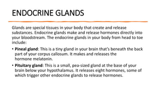 BASIC INTRODUCTION TO THE ENDOCRINE SYSTEM.pptx