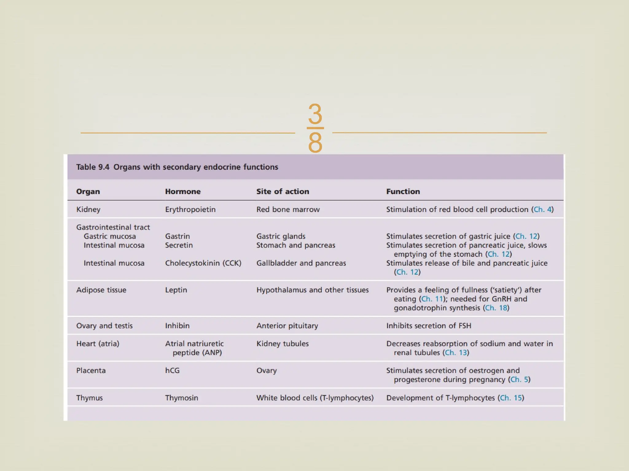 The endocrine system.pptx endocrine system | PPTX