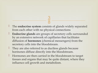 The endocrine system.pptx endocrine system | PPTX