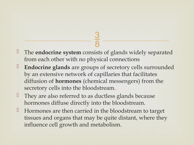 The endocrine system.pptx endocrine system | PPTX