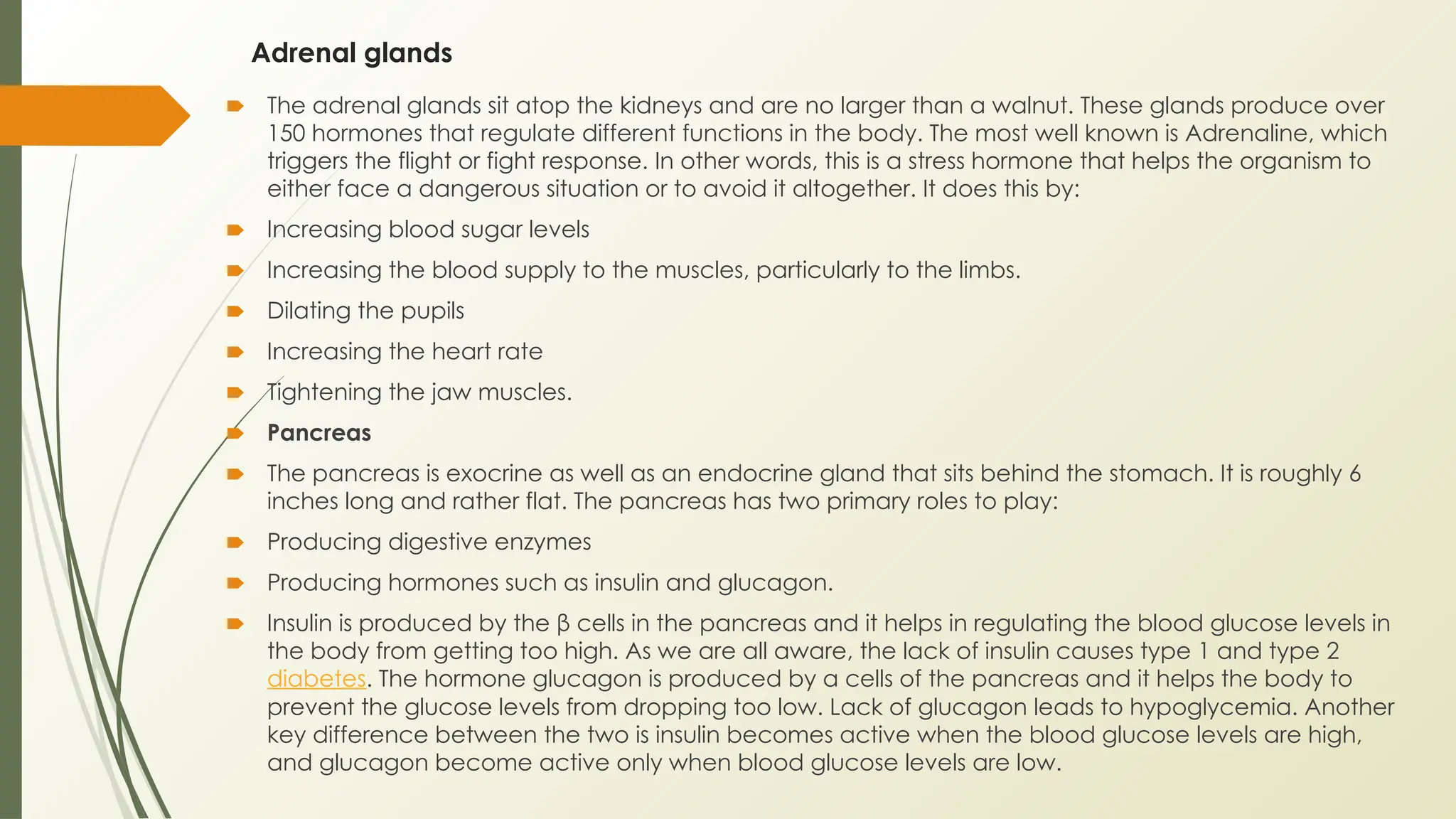 THE ENDOCRINE SYSTEM. it includes the hormones, organs and the ...